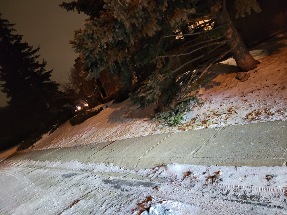 LION’S SNOW PATROL - Updated September 2024 - Request a Quote ...