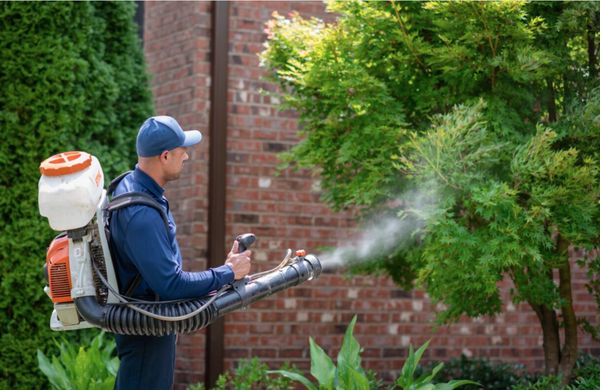 ROCKET PEST CONTROL - Updated December 2025 - 12 Photos & 12 Reviews ...