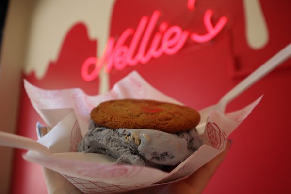 NELLIE’S ICE CREAM - Updated May 2024 - 93 Photos & 43 Reviews - 2034 ...