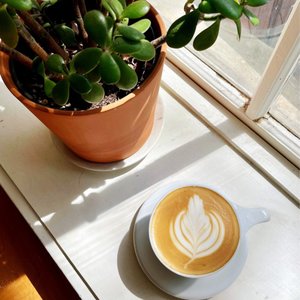 MERIT COFFEE - 62 Photos & 106 Reviews - 4615 N Lamar Blvd, Austin, TX ...