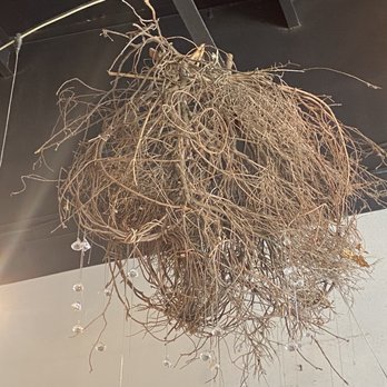 LUCKY TREE - Updated October 2024 - 176 Photos & 135 Reviews - 3801 ...