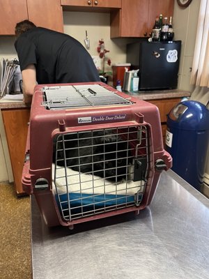 FOREST ANIMAL HOSPITAL - Updated December 2025 - 26 Photos & 121 ...