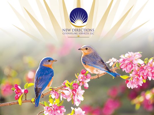 NEW DIRECTIONS COUNSELING SERVICES - Updated December 2025 - 12 Photos ...