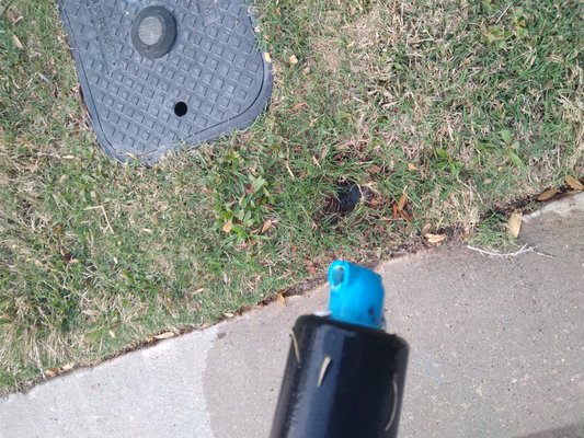 SBB COMMUNITY MANAGEMENT - Updated December 2025 - 17 Photos & 62 ...