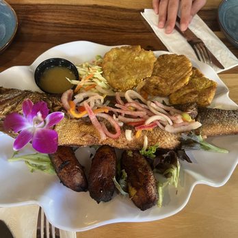 T’CHAKA - Updated December 2025 - 193 Photos & 148 Reviews - 901 ...