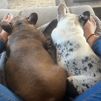 DR. BUTCHKO - Updated June 2025 - 44 Photos & 84 Reviews - 5448 Mission ...