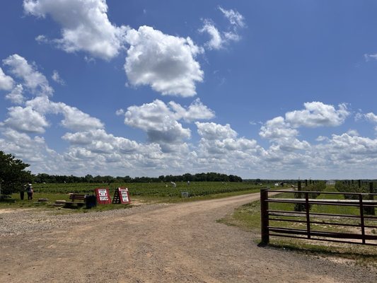 MESSICK’S FARM MARKET - Updated May 2025 - 142 Photos & 93 Reviews ...