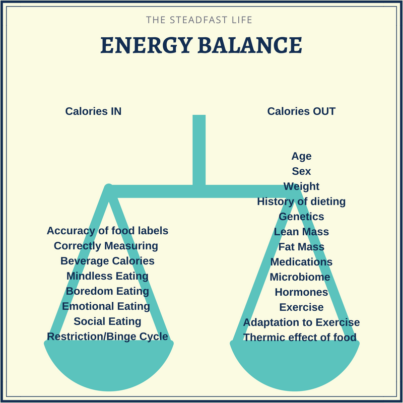 THE STEADFAST LIFE - Updated January 2025 - Request Consultation - Cary ...