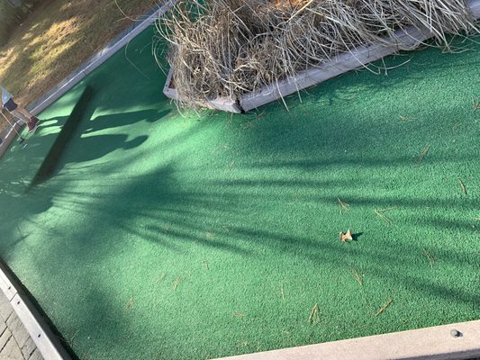 PINE CREEK MINIATURE GOLF - Updated November 2024 - 54 Photos & 63 ...