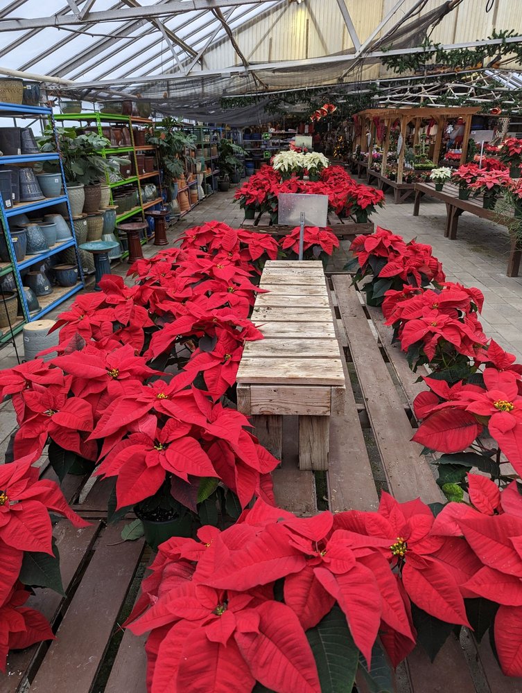 SUNNYSIDE GARDENS - 47 Photos & 10 Reviews - 345 Church St, Saratoga ...