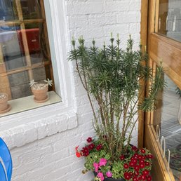 IRREGARDLESS CAFE - Updated March 2025 - 843 Photos & 783 Reviews - 901 ...