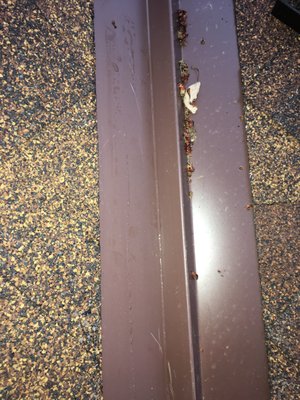 INFINITY EXTERIORS - Updated October 2025 - 52 Photos & 41 Reviews ...