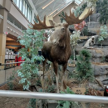 SCHEELS - Updated December 2025 - 212 Photos & 58 Reviews - 1121 Shiloh ...