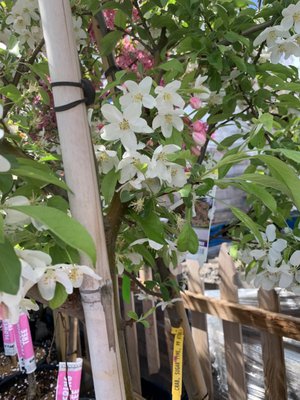 MENARDS - Updated January 2026 - 27 Photos & 13 Reviews - 7702 ...