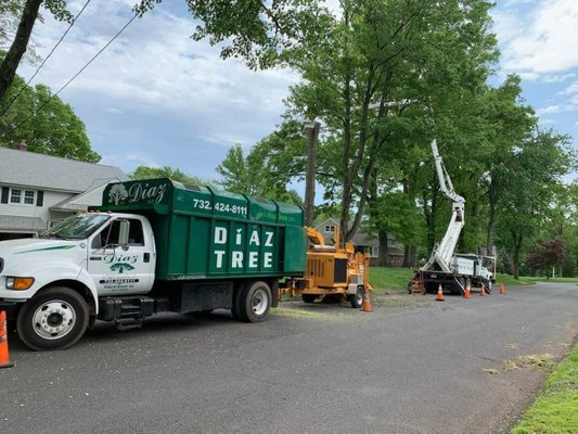 Diaz Tree Service