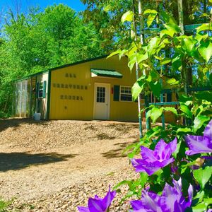 HICKS ANIMAL HOSPITAL - Updated December 2025 - 1600 Highway 53, Poplar ...