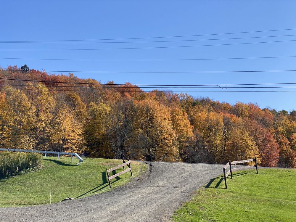 RUSTIC RIDGE WINERY - Updated August 2024 - 17 Photos & 31 Reviews ...