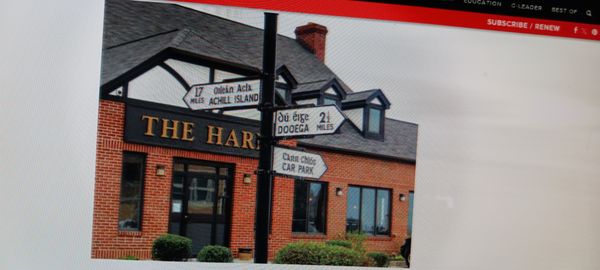 THE HARP - Updated May 2026 - 223 Photos & 263 Reviews - 4408 Detroit ...