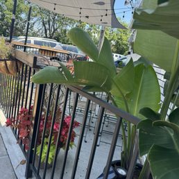 FLEUR STL - Updated July 2025 - 421 Photos & 149 Reviews - 622 Chouteau ...