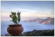 RESTAURANT LES ROCHES ROUGES Piana, 2A - Updated November 2024 - 10 ...