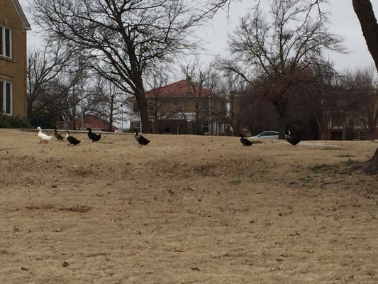 UNIVERSITY OF SCIENCE & ARTS OF OKLAHOMA - Updated May 2025 - 11 Photos ...