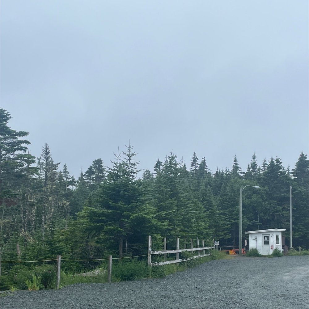 SALMONIER NATURE PARK - Updated October 2024 - Salmonier Line, Holyrood ...