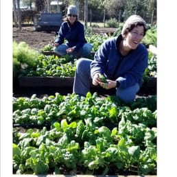 A MOVEABLE FEAST - Updated June 2025 - 172 Photos & 183 Reviews - 9341 ...