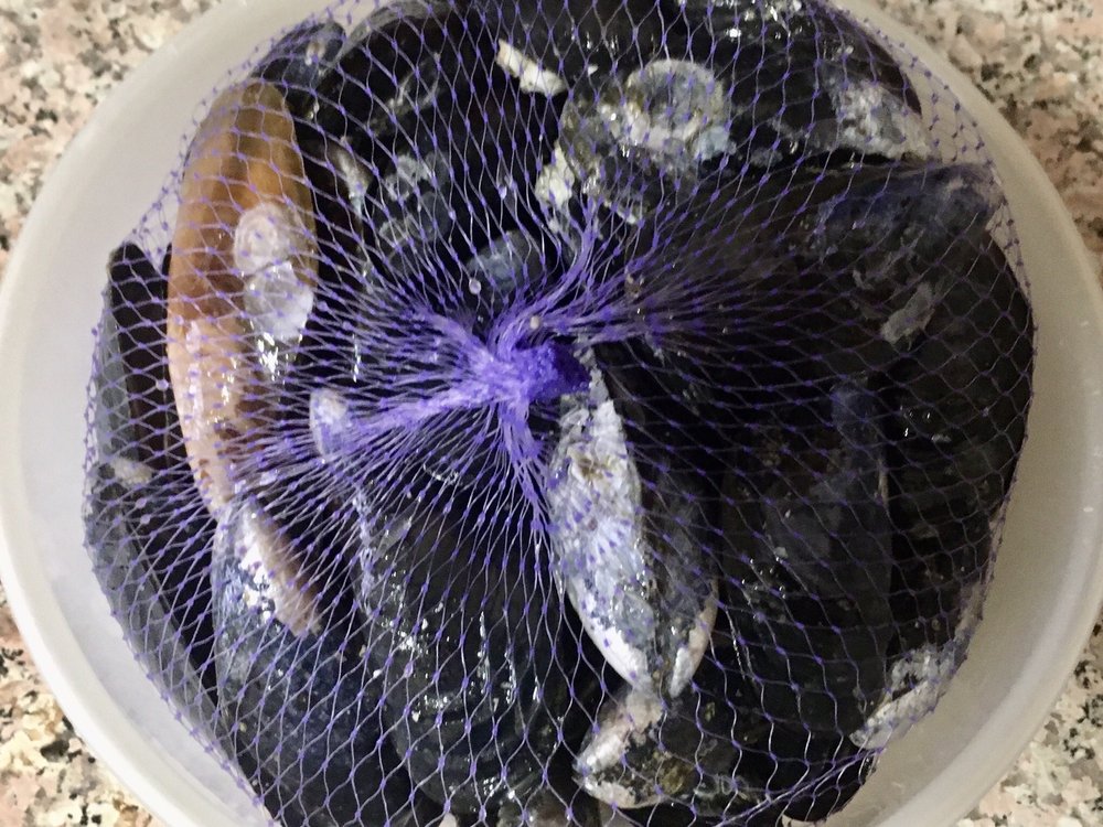 PENN COVE SHELLFISH - Updated January 2026 - 106 North Sherman Rd ...