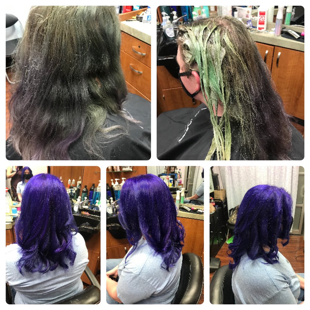 STEPHANIE CLINE - Updated October 2025 - 34 Photos - 15241 N Dale Mabry ...