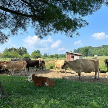 PRIGEL FAMILY CREAMERY - Updated December 2025 - 127 Photos & 141 ...