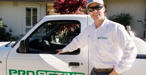 PRO ACTIVE PEST CONTROL - Updated December 2025 - 40 Photos & 459 ...