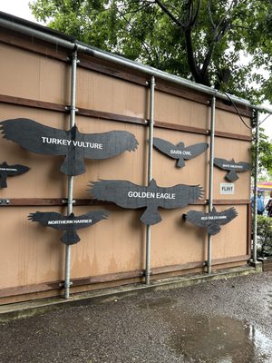 CALIFORNIA RAPTOR CENTER - Updated January 2026 - 58 Photos & 23 ...