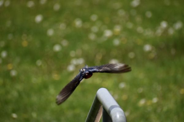 WAWAYANDA STATE PARK - Updated May 2024 - 159 Photos & 45 Reviews - 885 ...