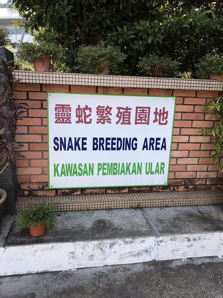 SNAKE TEMPLE - 16 Photos - Jalan Sultan Azlan Shah, Bayan Lepas, Penang ...