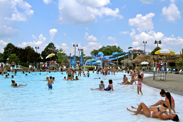 SEA LION AQUATIC PARK - Updated May 2024 - 46 Photos & 39 Reviews ...