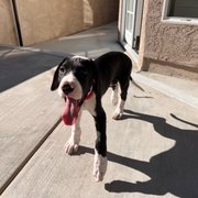 LOMA LINDA ANIMAL HOSPITAL - 168 Photos & 536 Reviews - Veterinarians ...