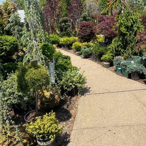 PAT’S FARMS GARDEN CENTER - Updated January 2026 - 71 Photos - 1126 ...