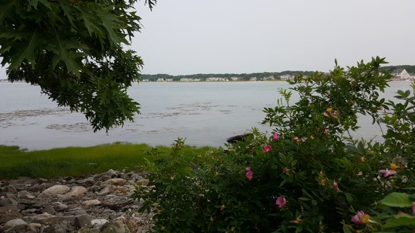 TIMBER POINT TRAIL - 25 Photos - 1 Timber Point Rd, Biddeford, Maine ...