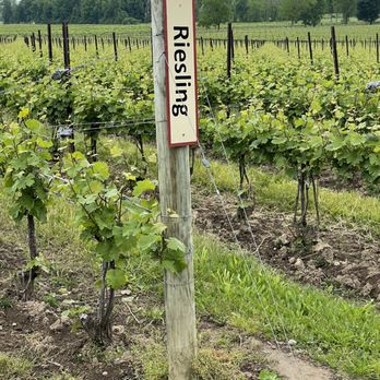 RED TAIL RIDGE WINERY - Updated October 2025 - 112 Photos & 68 Reviews ...