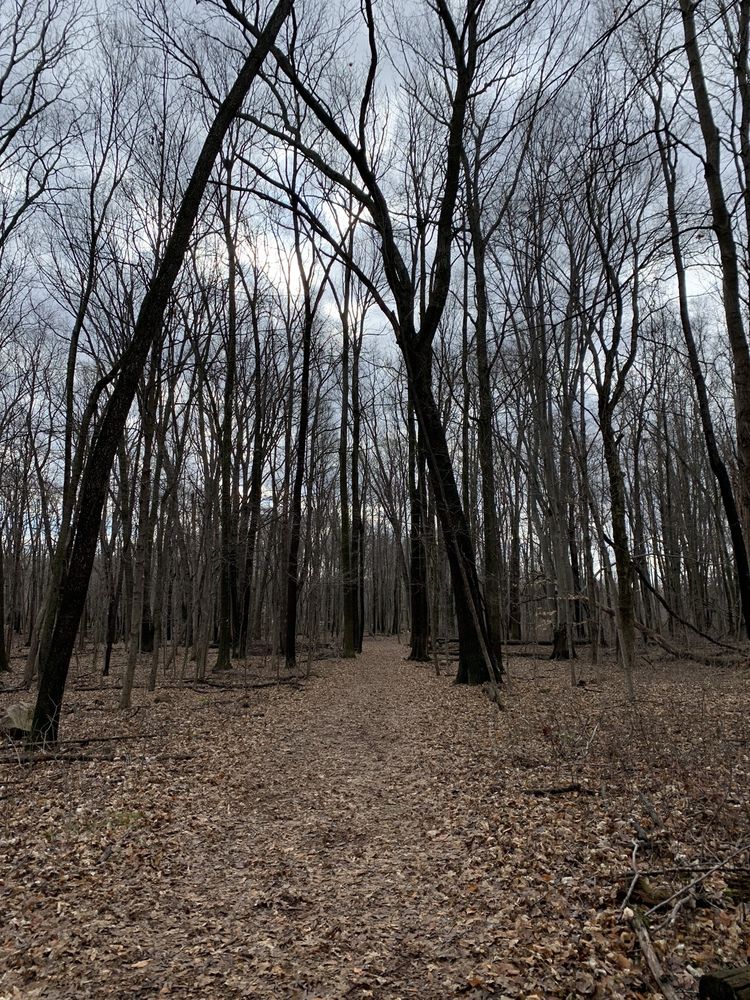 FITZGERALD PARK - 17 Photos - 133 Fitzgerald Park Dr, Grand Ledge ...