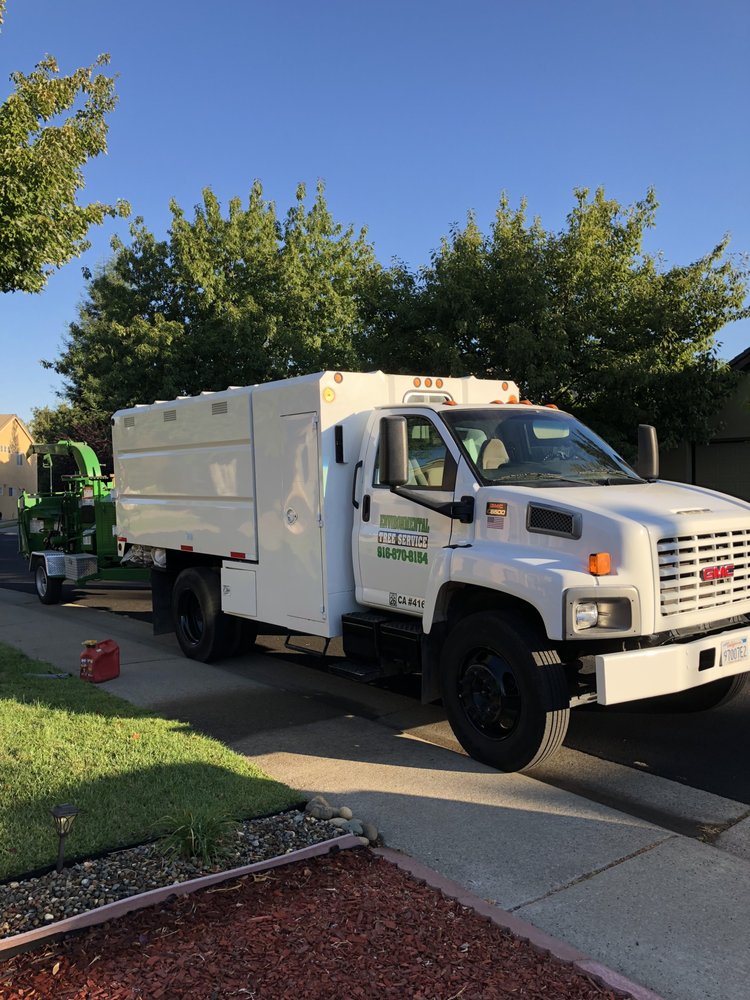ENVIRONMENTAL TREE SERVICE - Updated October 2025 - 188 Photos & 191 ...