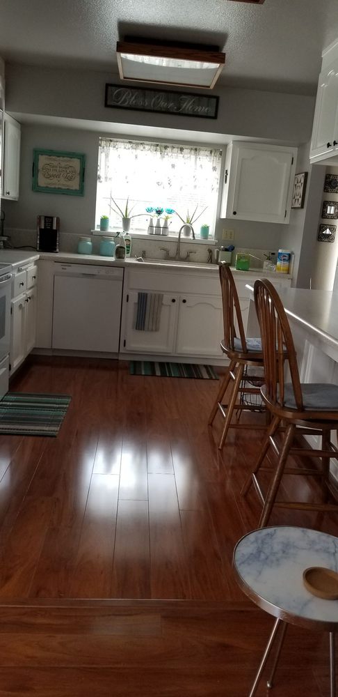 PUMA PAINTING - Updated July 2024 - 16 Photos - 607 Elmira Rd ...