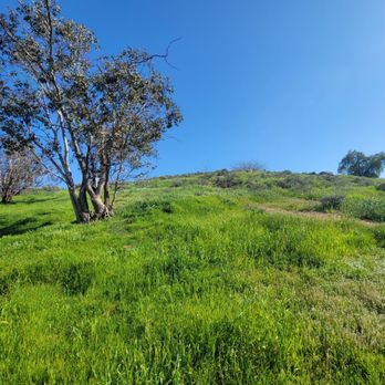 CHALLEN HILL PARK - Updated October 2025 - 43 Photos & 12 Reviews ...