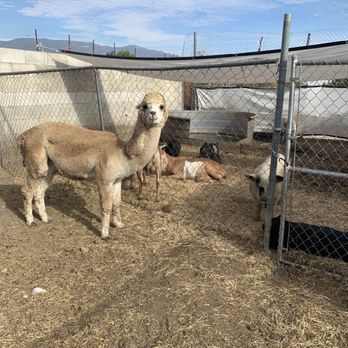 RANCHO LOS FONSECA - Updated January 2026 - 154 Photos & 50 Reviews ...