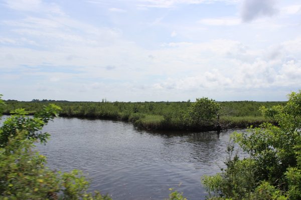 ORMOND SCENIC LOOP & TRAIL - Updated September 2024 - 45 Photos - 1765 ...