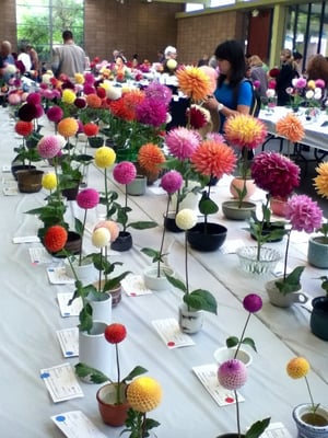 SAN FRANCISCO COUNTY FAIR BUILDING - 82 Photos - 9TH Ave And Lincoln ...