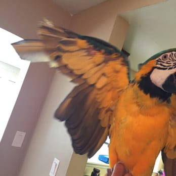 MAGNOLIA BIRD FARM - Updated June 2024 - 147 Photos & 185 Reviews ...