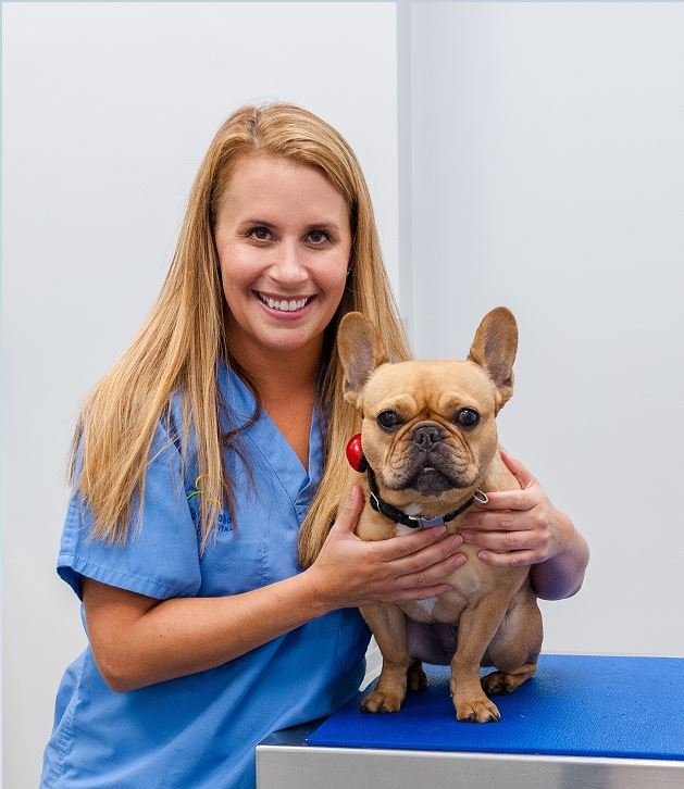 TRIBECA SOHO ANIMAL HOSPITAL - Updated December 2025 - 23 Photos & 61 ...