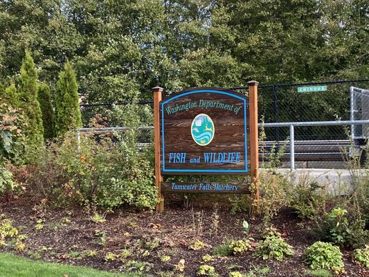 BREWERY PARK AT TUMWATER FALLS - Updated October 2025 - 72 Photos - 110 ...