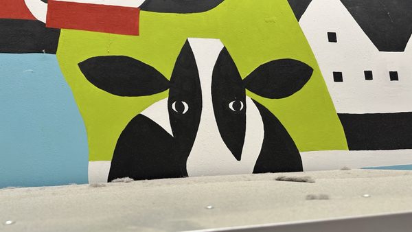 TARGET - Updated October 2025 - 31 Photos & 21 Reviews - 155 Dorset St ...